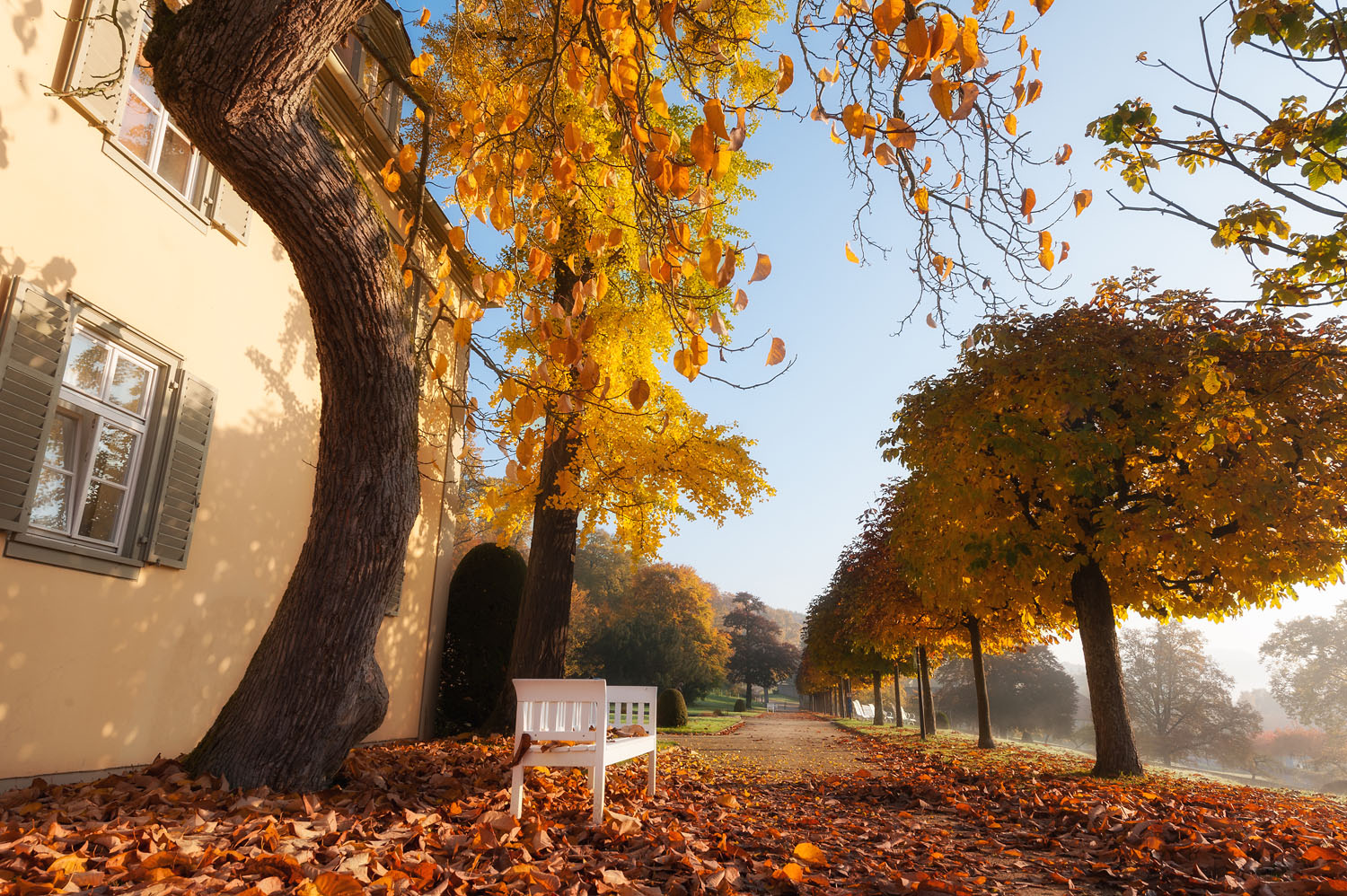 Führungen im Schlosspark | Staatsbad